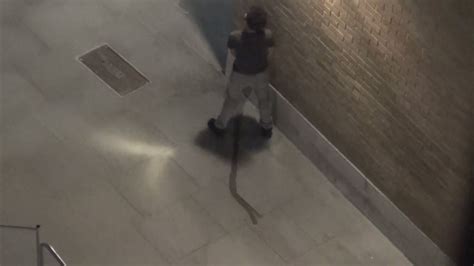 Public Piss Vid Thisvid Com