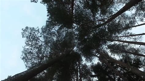 Itrex Group On Linkedin Itrex Group Knows How To Have Fun Want To Become Part Of Our…