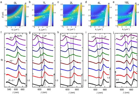 Dispersion Measurements A Angle Resolved Reflection Spectra Of The