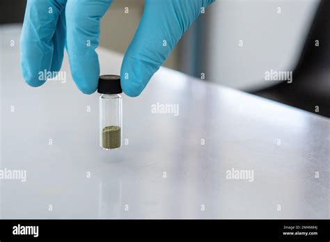 Small Bottle With Green Plant Extract From Medicinal Plants Inside Concept Of Health And