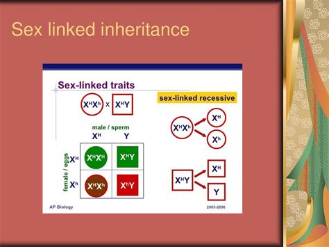 Genetics And Heredity Sections Viii End Ppt Download