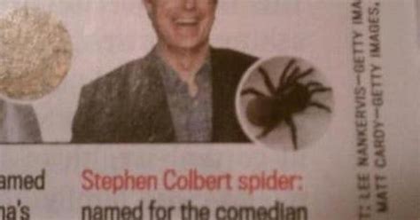 Stephen Colbert Spider Rpics