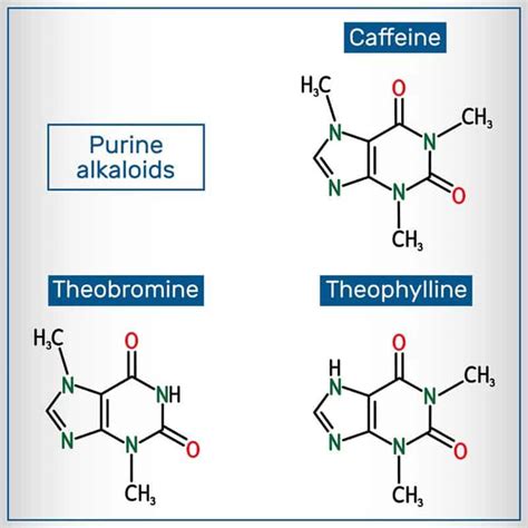 Theobromine Uses Medicinal Foods™