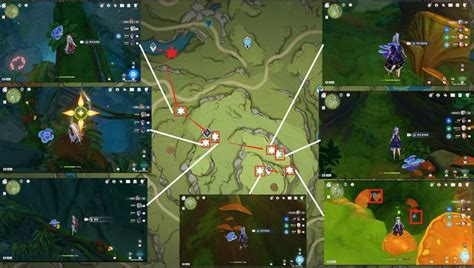 【角色攻略】流浪者突破材料「树王圣体菇」快速采集路线 原神社区 米游社