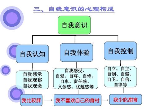 自我意识 快懂百科