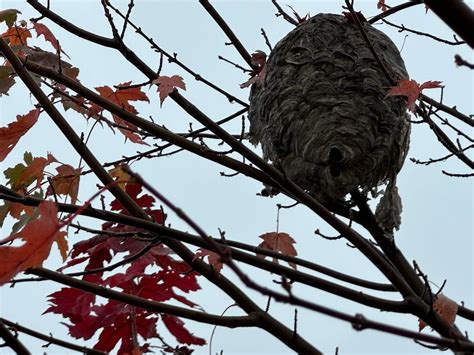 The Six Generative Ai Model Types And Real World Use Cases By David Sweenor Medium