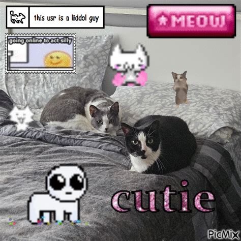 Leo And Lilly Free Animated  Picmix