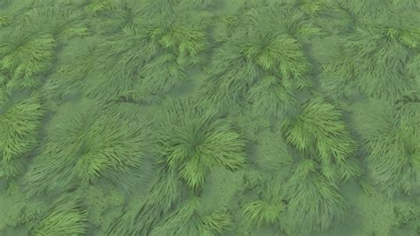 Realistic Textures Vol 8 Grass By Oleekconder