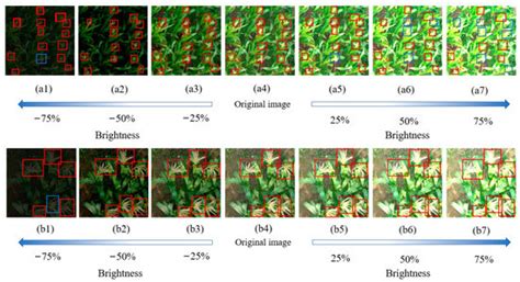 Multiscale Maize Tassel Identification Based On Improved Retinanet