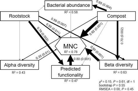 Structural Equation Model Describing The Relationships Between Download Scientific Diagram