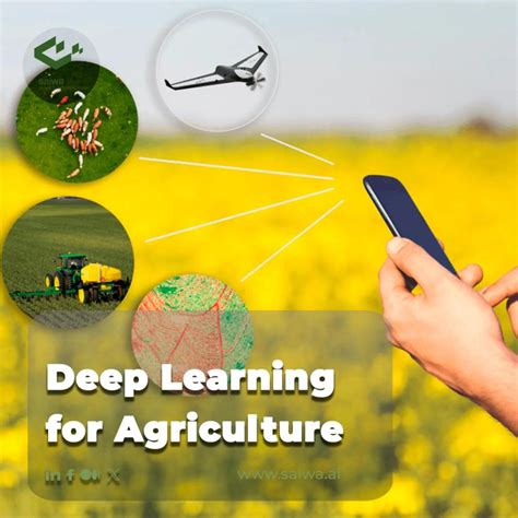 Deep Learning For Agriculture Unlocking Potential