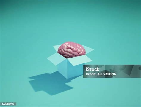 인간의 뇌는 상자를 Insde 상자 개념 밖에서 생각 혁신적인 아이디어 개념 이것은 3d 렌더링 그림입니다 일러스트레이션에 대한