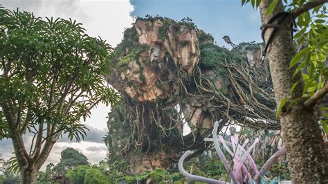 Avatar Park