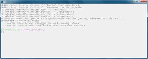 PENGUINITIS blueCFD Core のセットアップ