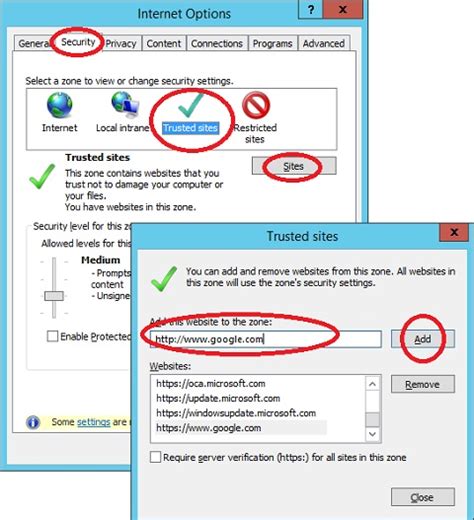 add website to ie 11 trusted zone
