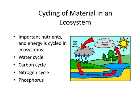 Ecosystem Material Cycling Water Carbon Nitrogen Phosphorus