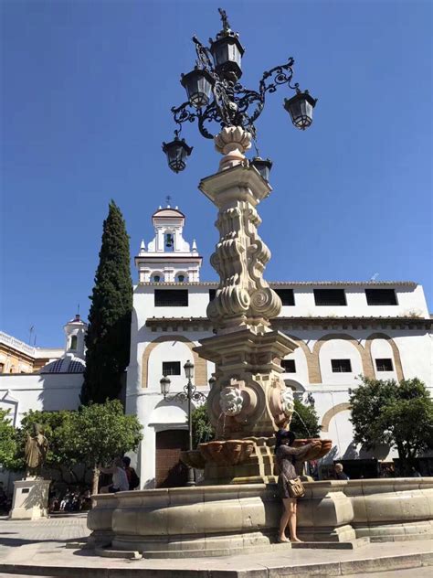 2025塞维利亚大学游玩攻略 所以这里的建筑看上去也非常 【去哪儿攻略】