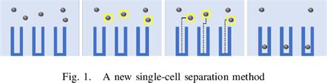 Figure 1 From Deep Learning Assisted Automated Separation Platform Of Single Cells And
