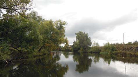 무료 이미지 반사 수로 물줄기 나무 초목 은행 자연 보호 구역 하늘 호수 습지 바 이유 잎 운하 수자원 못 구름 저수지 홍수터 식물