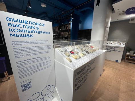 История эволюции компьютерных мышей и моя коллекция из 170 экземпляров