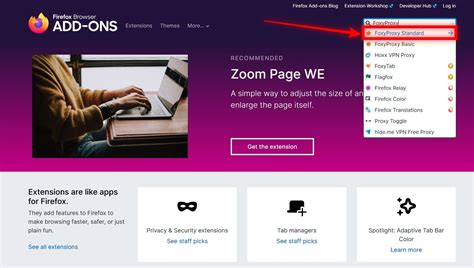configure foxyproxy for chrome and firefox in 2025 detailed guide ping