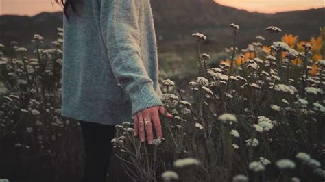 가을 바람의 산책 그리고 자연의 힐링 스트레스 해소 명상 음악 20분 Youtube