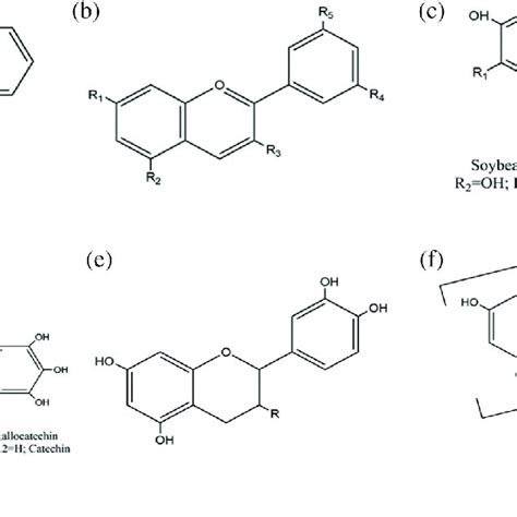 The Basic Structure Diagrams Of The Main Polyphenol In Plants A Download Scientific Diagram