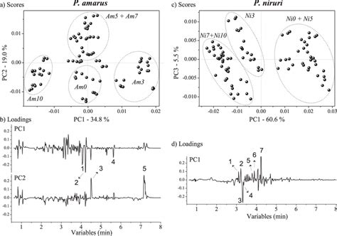 Pca Results From P Amarus And P Niruri Under Different Periods Of
