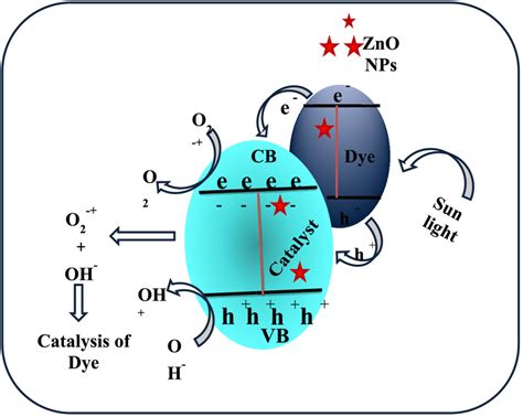 Schematic Interpretation Of Photocatalytic Activity Download