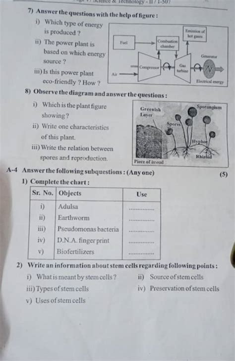 Observe The Diagram And Answer The Questions Filo