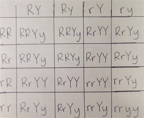 Chapter Patterns Of Inheritance Flashcards Quizlet