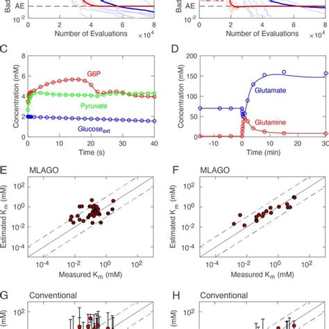Feature Encoding Glutamine Synthetase Ec 6312 Atp And E Coli Download Scientific