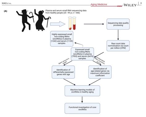 Raya Khanin On Linkedin Aging Rna Sncrna Microrna Agingclock