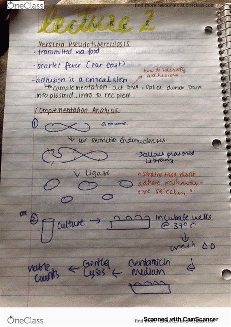 Bms 451 Lecture 1 Oneclass