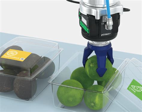 Piab의 부드럽고 섬세한 물체를 잡기 위한 진공 기반 소프트 그리퍼