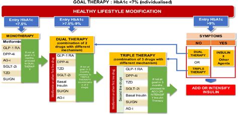 Algorithm Of Type 2 Diabetes Management In Indonesia Notes Adapted