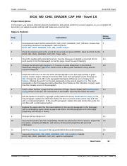 EX WD CH GRADER CAP HW Travel Instructions Docx Grader Instructions Word