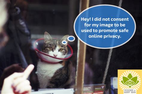 Online Privacy Is Sexy Blog Designed By Harry Vann