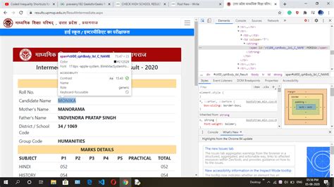 在 Python 中使用 Selenium 检查第 类结果 码农参考