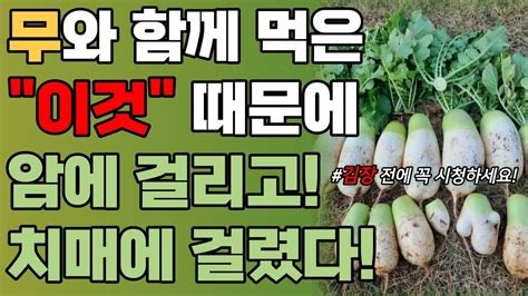 무와 절대로 함께 먹지마세요 암과 치매에 걸릴 수 있습니다 무와 최악의 궁합인 음식과 만성 염증과 독소 싹 빼주는 면역력 최고의 레시피 무우 효능 건강 정보