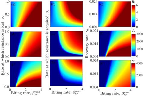 Numerical Simulation Results Illustrating The Effects On The Basic