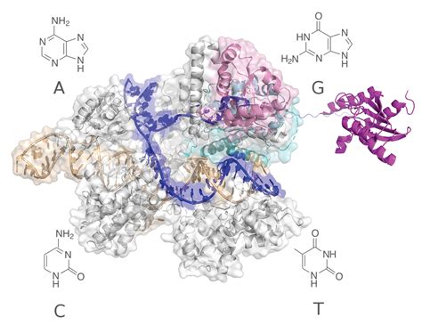 All About That Base Editing