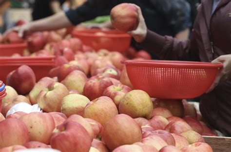 안 오른 게 없네 가공식품·외식·과일값도 상승 매일경제tv 뉴스
