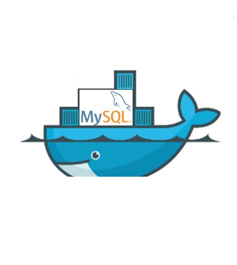 docker에 mysql 설치 및 실행