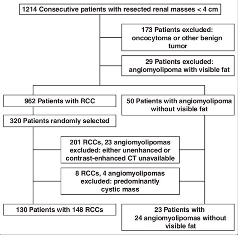 Flowchart Shows Patient Inclusion And Exclusion Criteria And Final