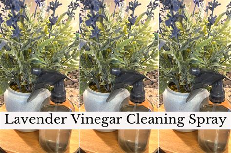 Lavender Vinegar Cleaning Spray The Best All Purpose Cleaner • Start