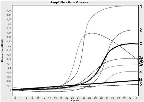 Interpretation Of Polymerase Chain Reaction Pcr Results Of Field Download Scientific Diagram