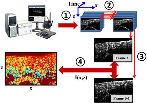 Schematic Presentation Of Double Correlation Image Reconstruction Step