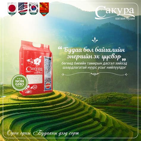 Сакура брэнд Орон орны дээд сорт Сакура брэнд Та мэдэх