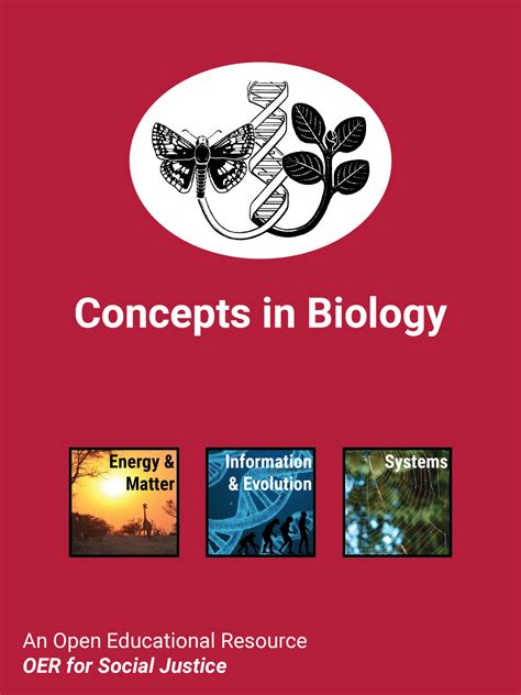 3 5 Lipid Structure And Function Concepts In Biology